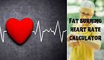 Fat Burning Heart Rate Calculator: Optimize Workouts