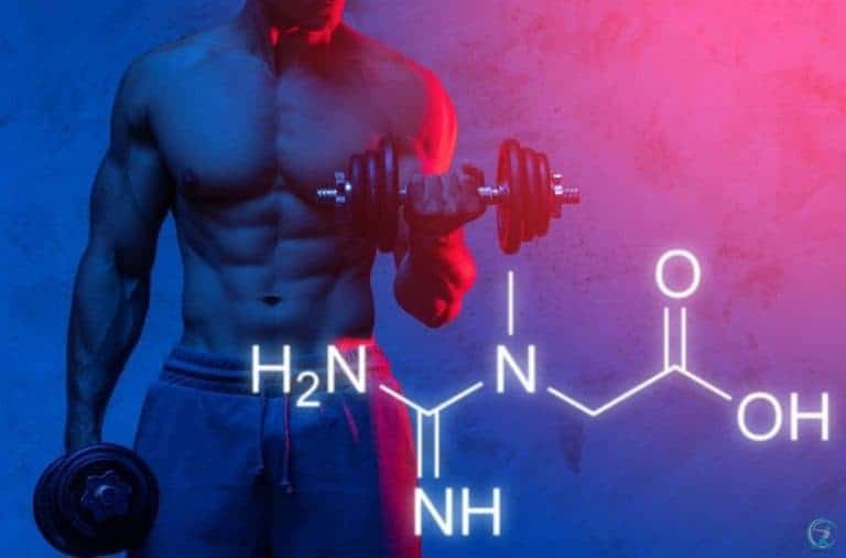 Ranking the Best Creatine for Men - Gear Up to Fit