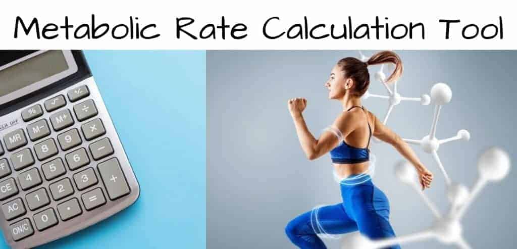 Basal Metabolic Rate Calculation Tool | Gear Up to Fit