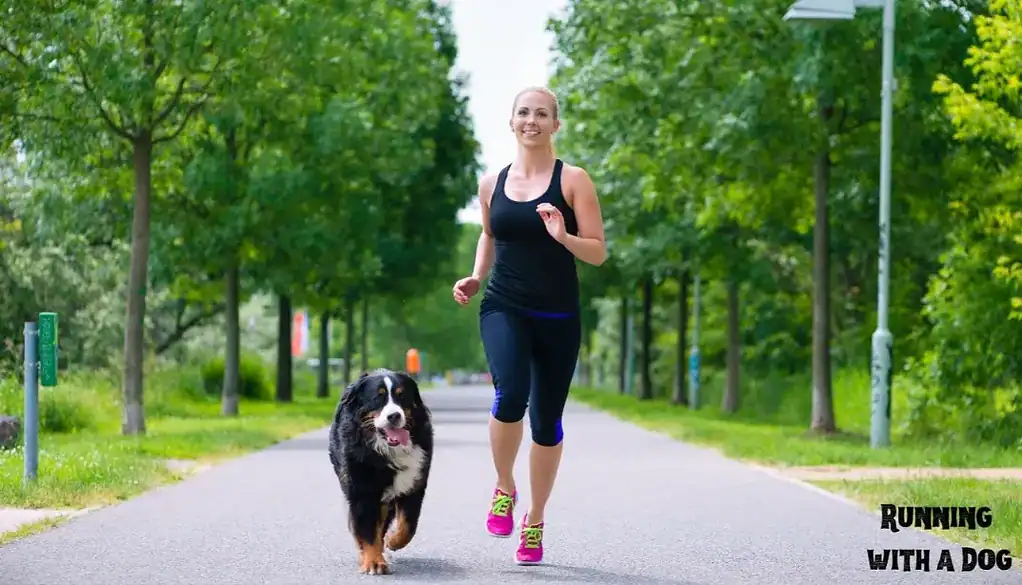 Running with a Dog: Tips & Best Breeds