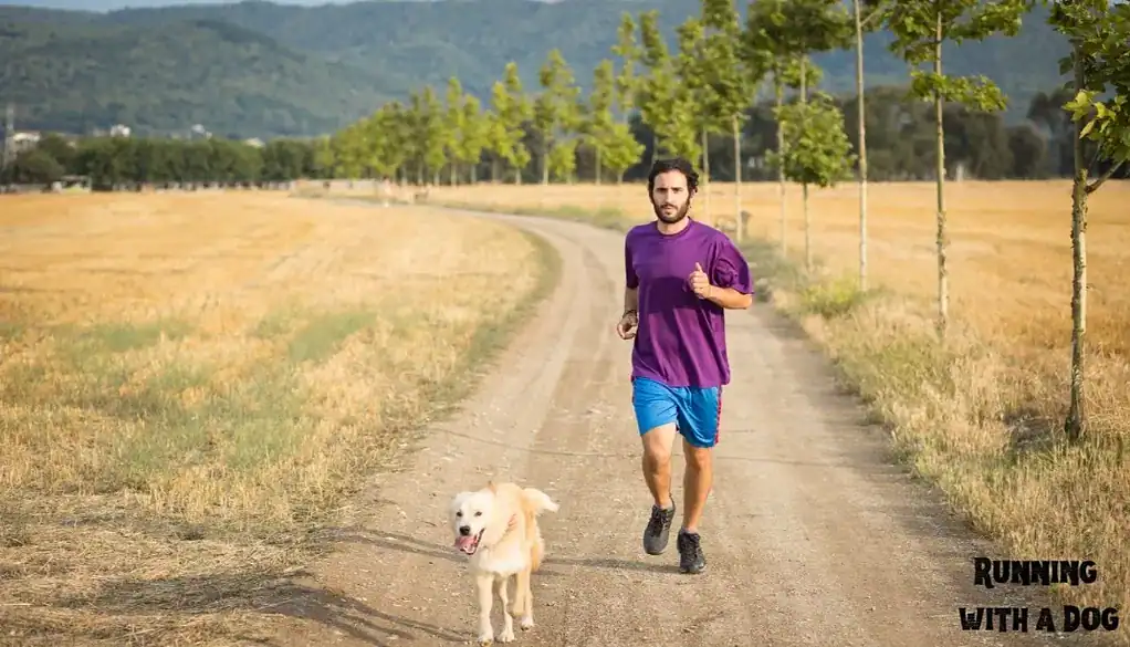 Running with a Dog: Tips & Best Breeds