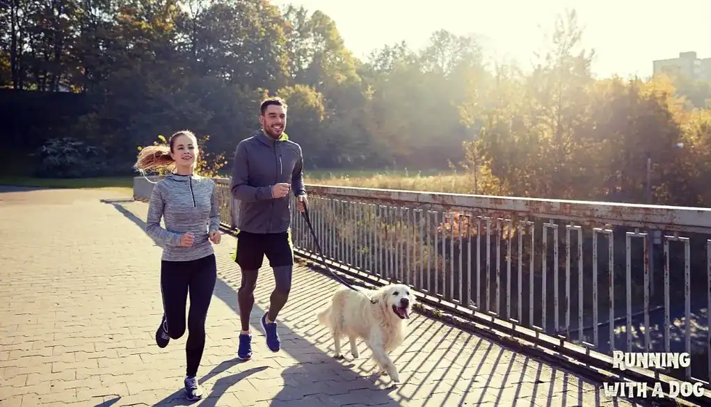 Running with a Dog: Tips & Best Breeds